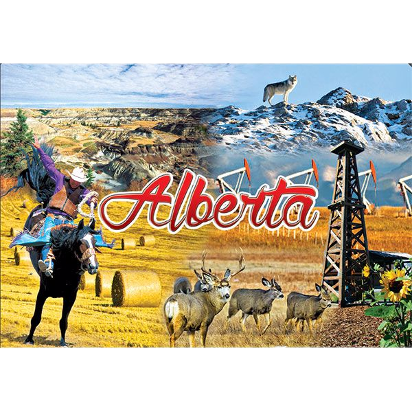 Alberta Souvenir Fridge Magnet Alberta Life – BIGGLE Souvenirs & Gift Shop